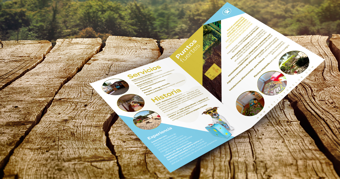 Diseño de dípticos y trípticos Petjilton Club | Cerotec